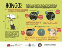 Criptógamas – Sociedad de Botánica de Chile